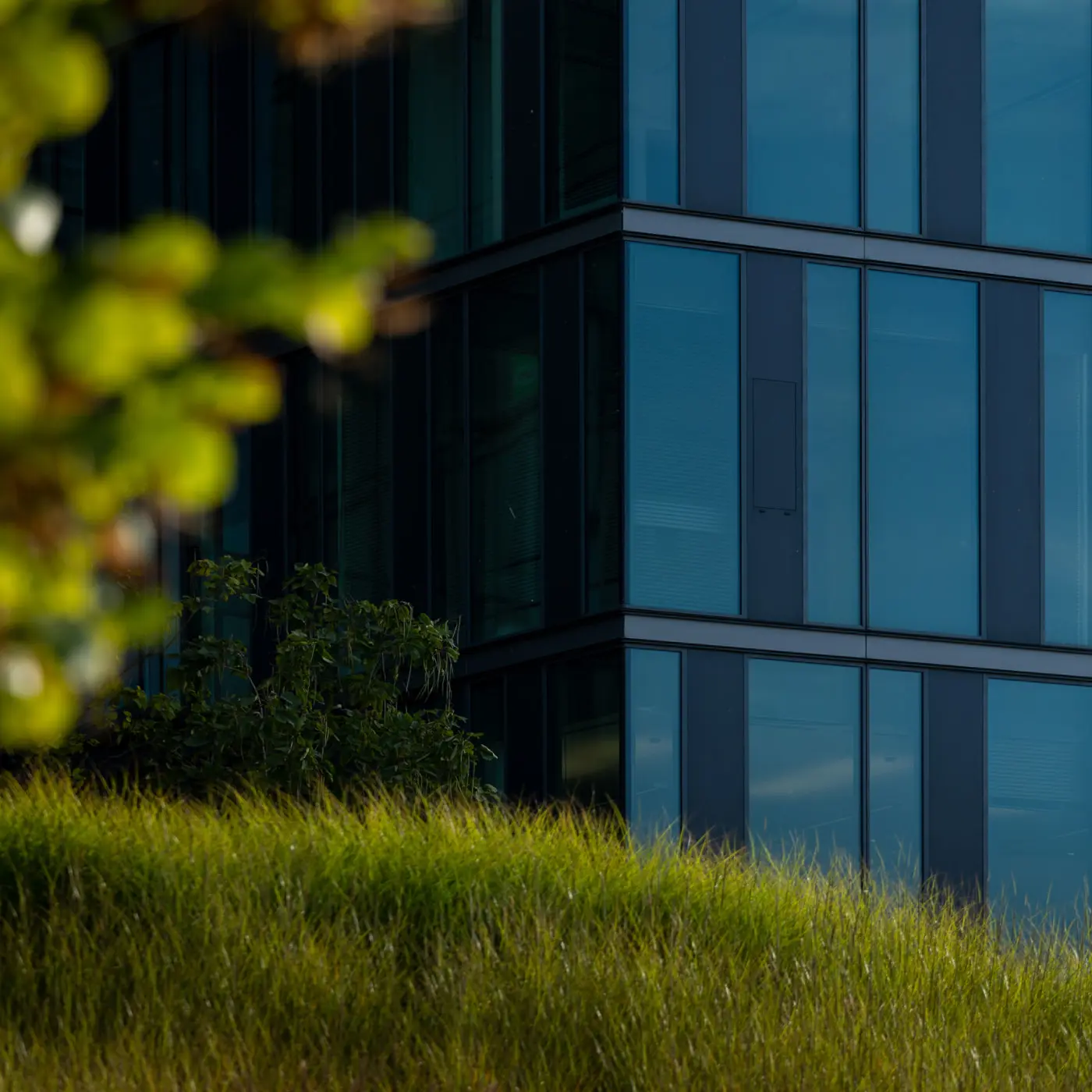 The best spot in town - Digital Park