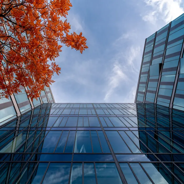 The best spot in town - Digital Park