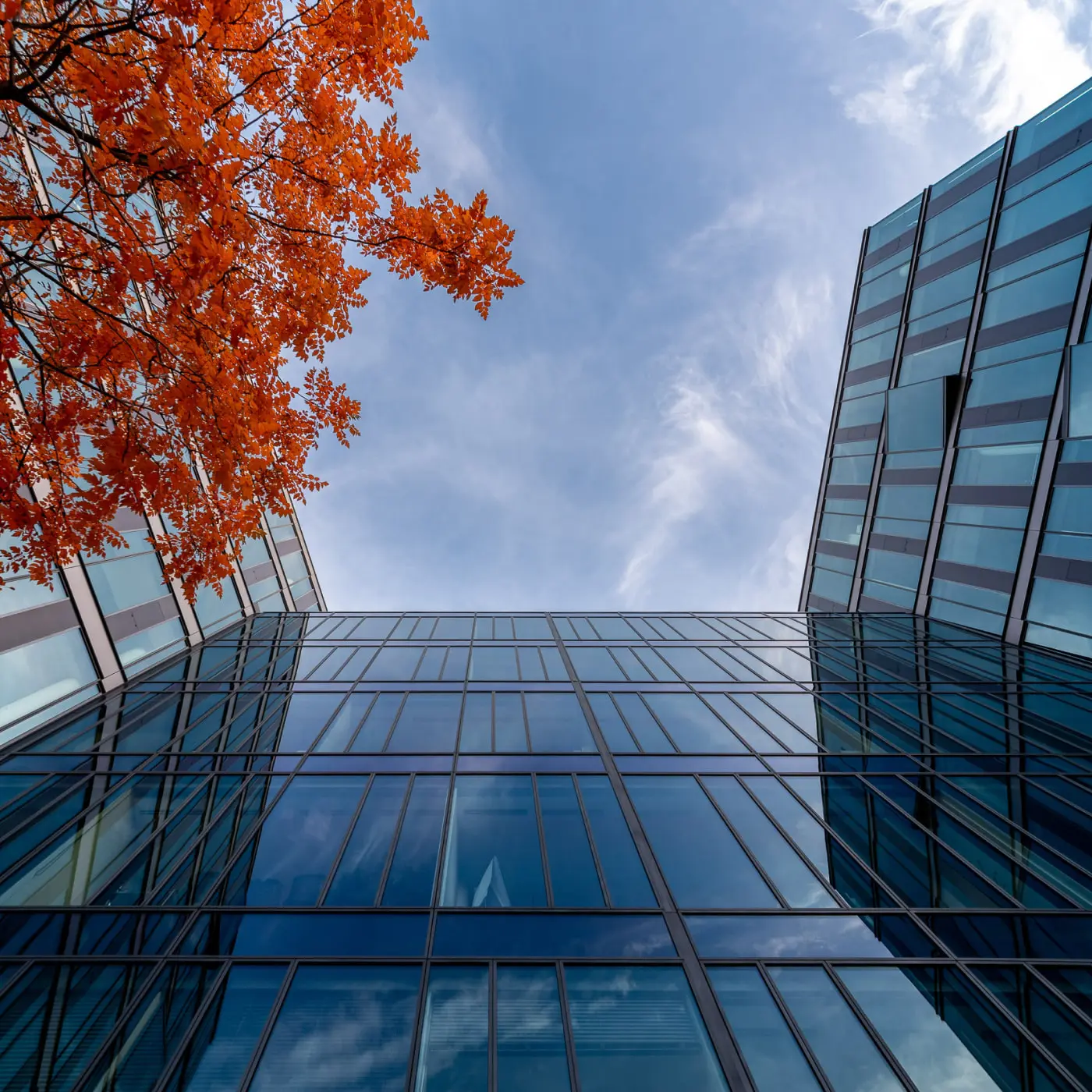 The best spot in town - Digital Park