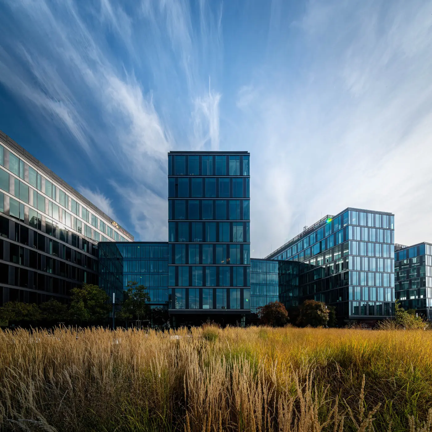 The best spot in town - Digital Park