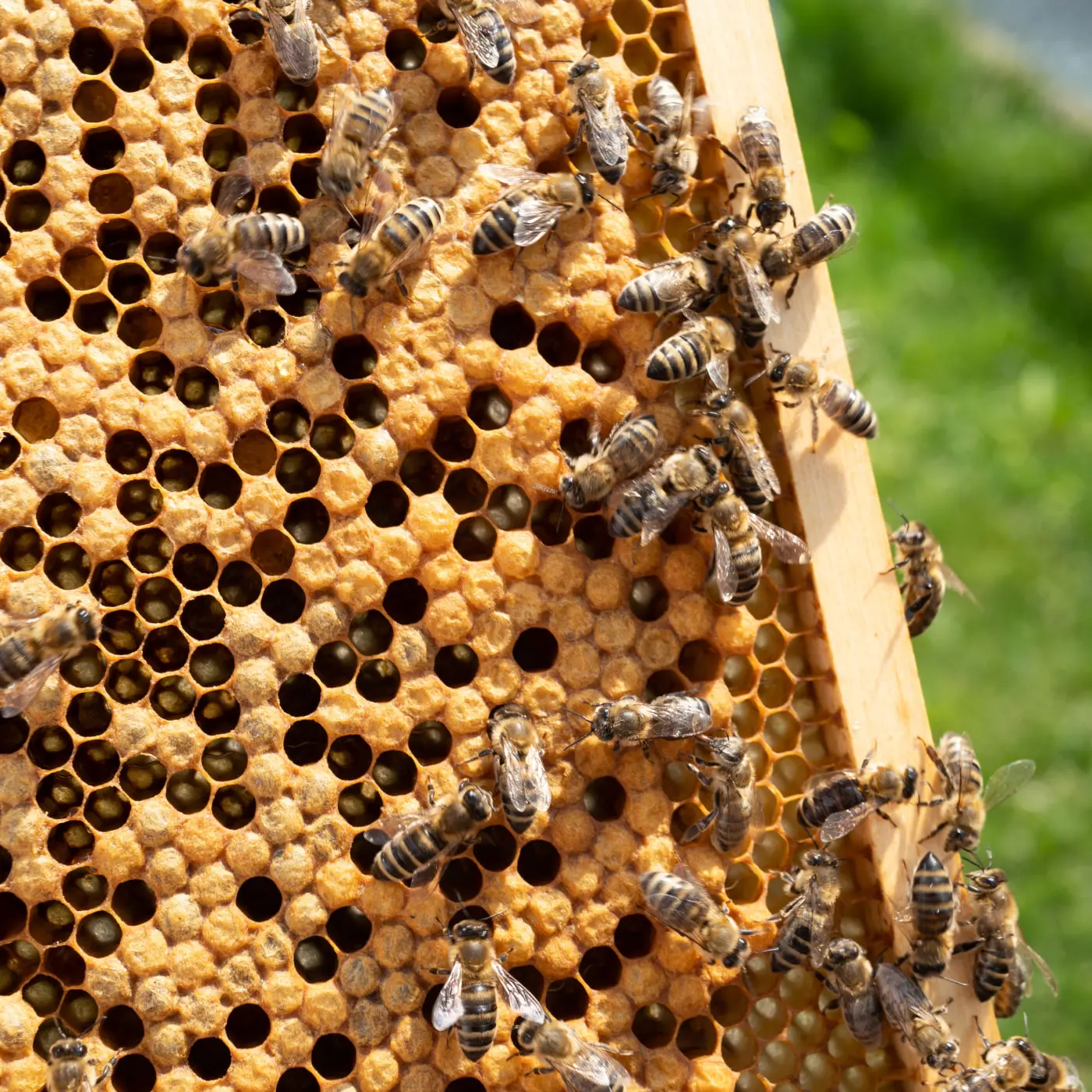 The best spot in town - Digital Park